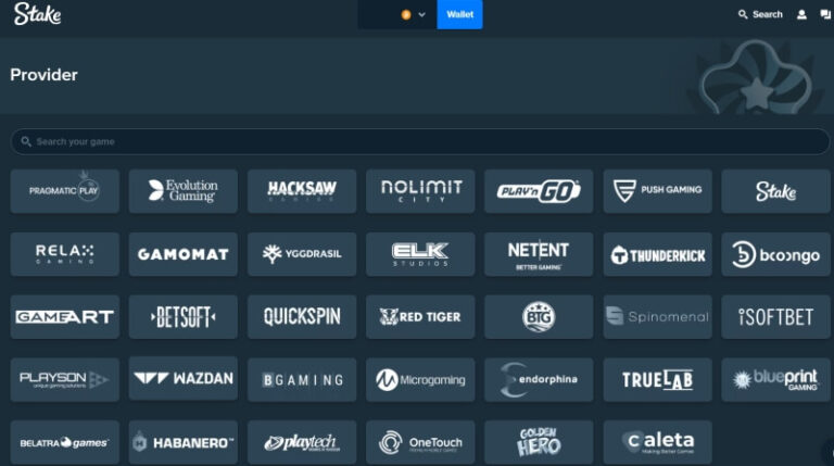 How to play Stake in US, UK and others [July 2024 Update]